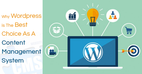 Why Wordpress Is The Best Choice As A Content Management System