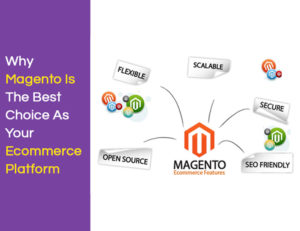 Why Magento Is The Best Choice As Your Ecommerce Platform - Mind ...