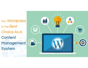 Why Wordpress Is The Best Choice As A Content Management System - Mind ...