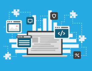 Why Should You Hire Only A Professional Web Development Company? - Mind ...